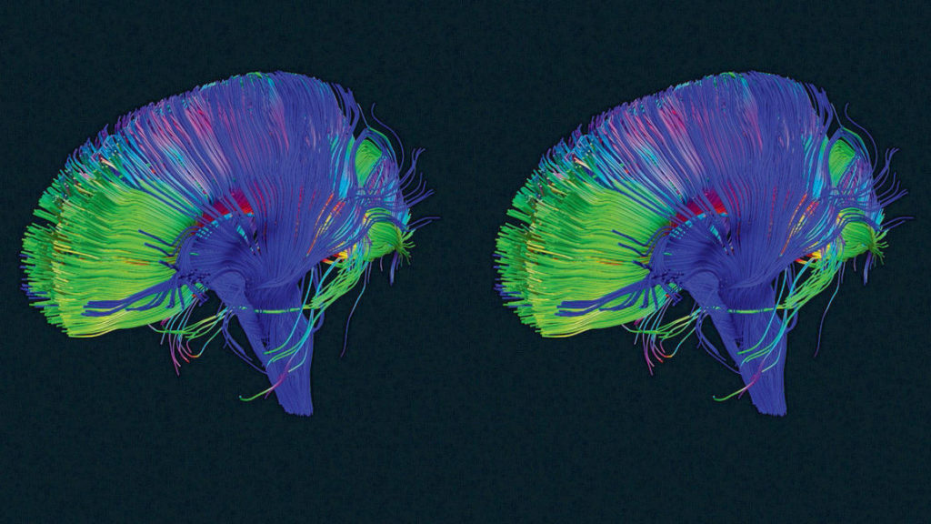 Cleaning Your Brain with Sleep - Abide University & Institute