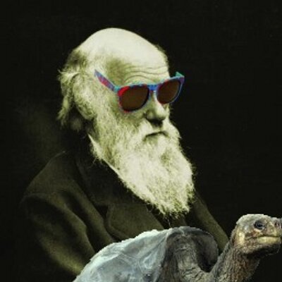 The U. Abides - Abide University & Institute